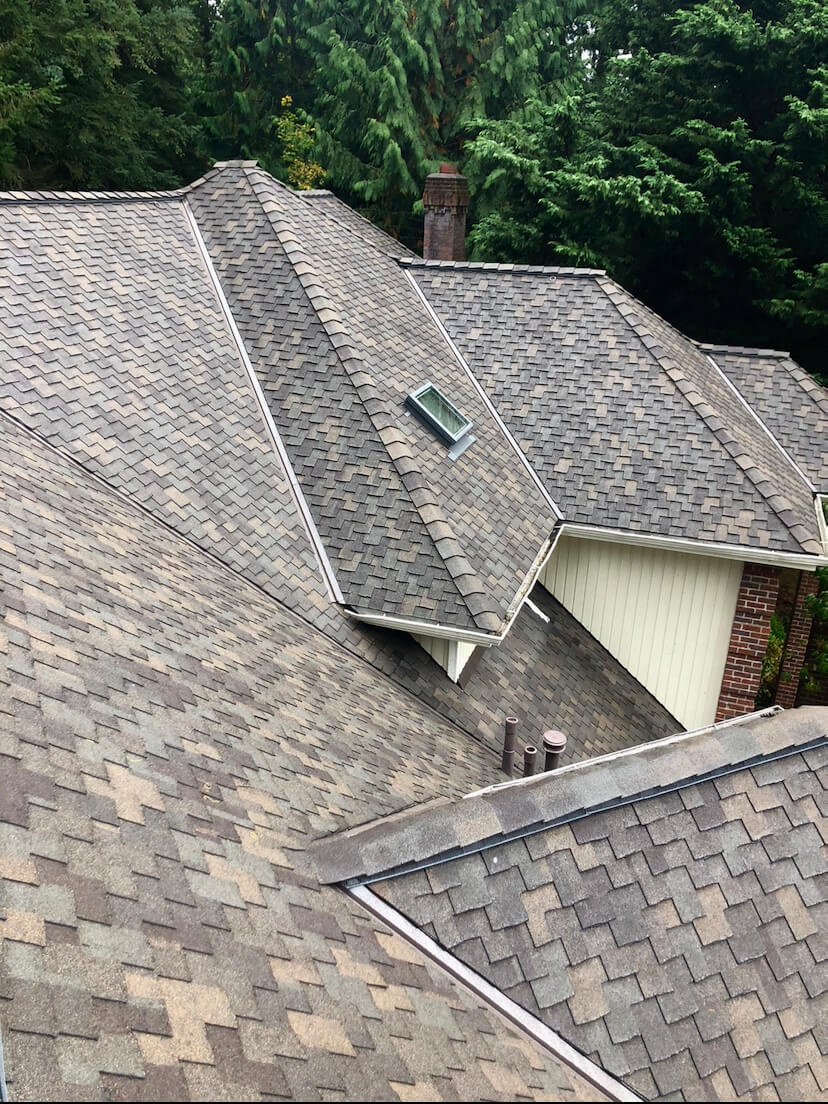 Evergreen NW Roofing – Under Evergreen Roofing you're safe.